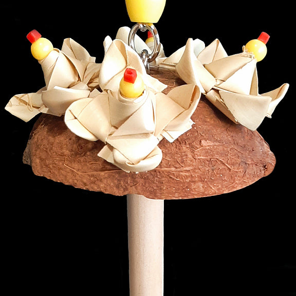 Coco Cabana Swing | Coconut Swing for Budgie, Lovebird, Canary